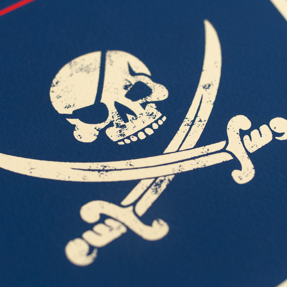 Seven Seas Varsity Regatta Theme Park Poster Print – Made to Thrill®